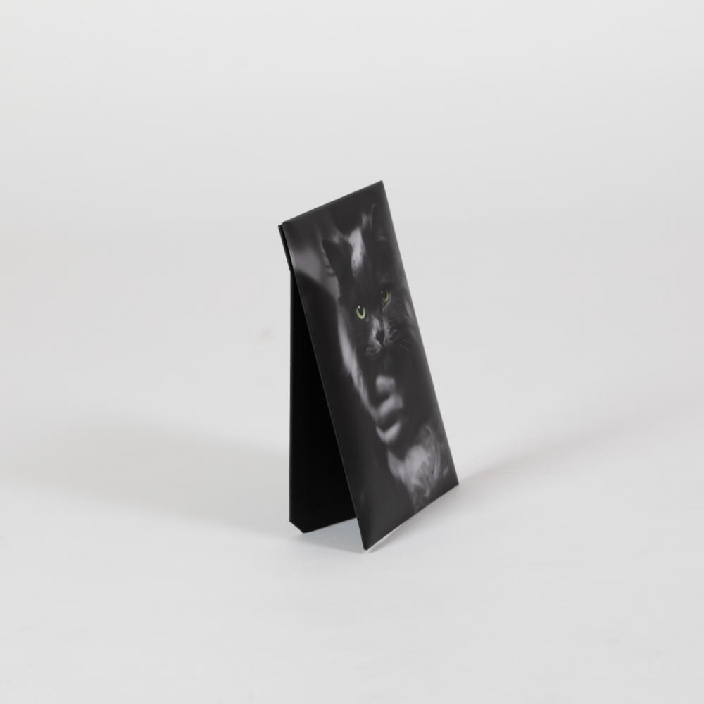 Shooting | ideanimal |イデアニマル | オリジナルペットグッズ通販 | ペット撮影